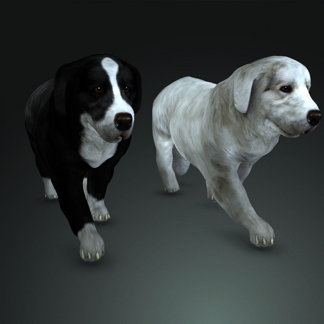 Sheepdog DOG 3D model - TurboSquid 2080327