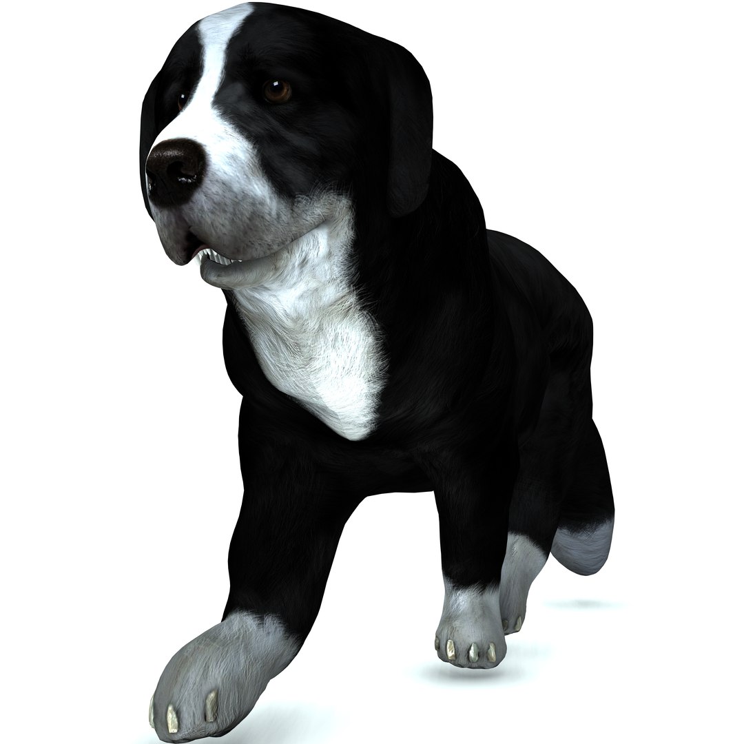 Sheepdog DOG 3D model - TurboSquid 2080327