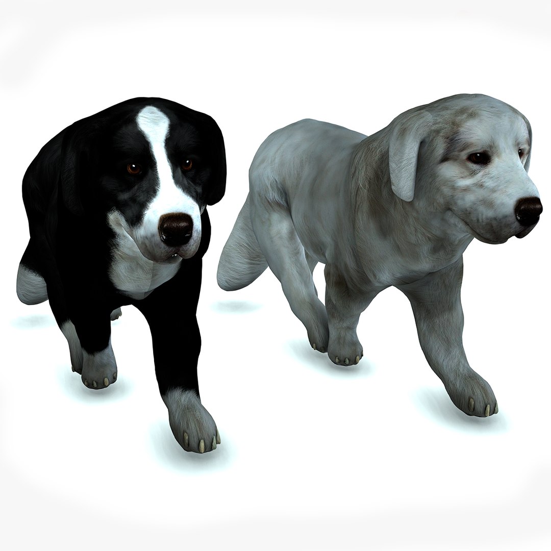 Sheepdog DOG 3D model - TurboSquid 2080327