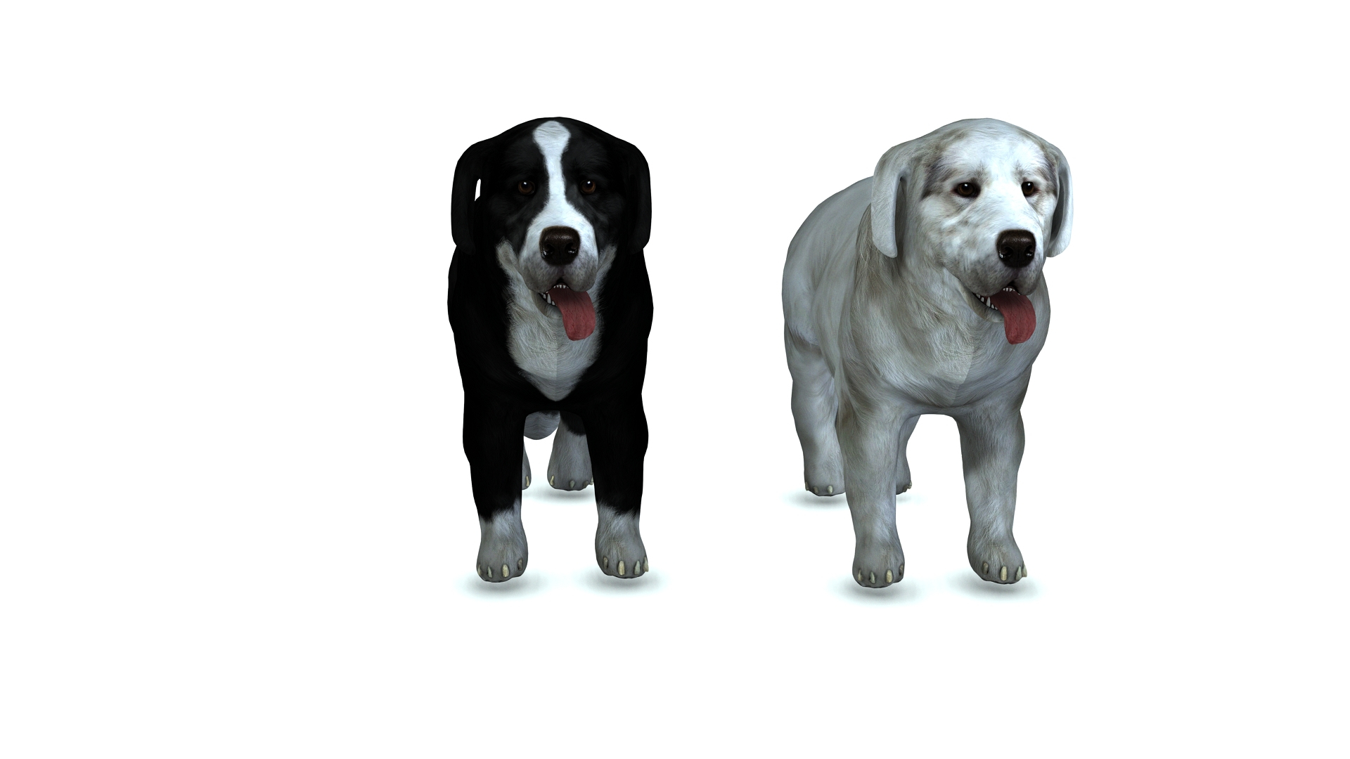 Sheepdog DOG 3D model - TurboSquid 2080327