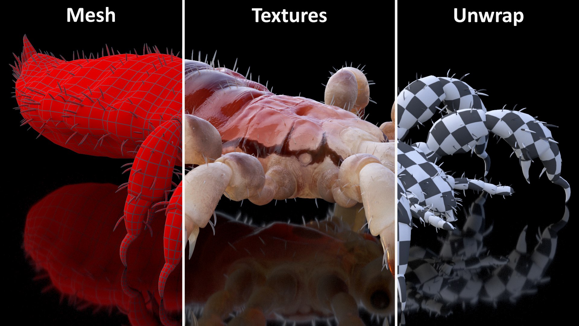 3D Phthiraptera With Blood Hiding Pose - TurboSquid 2284144