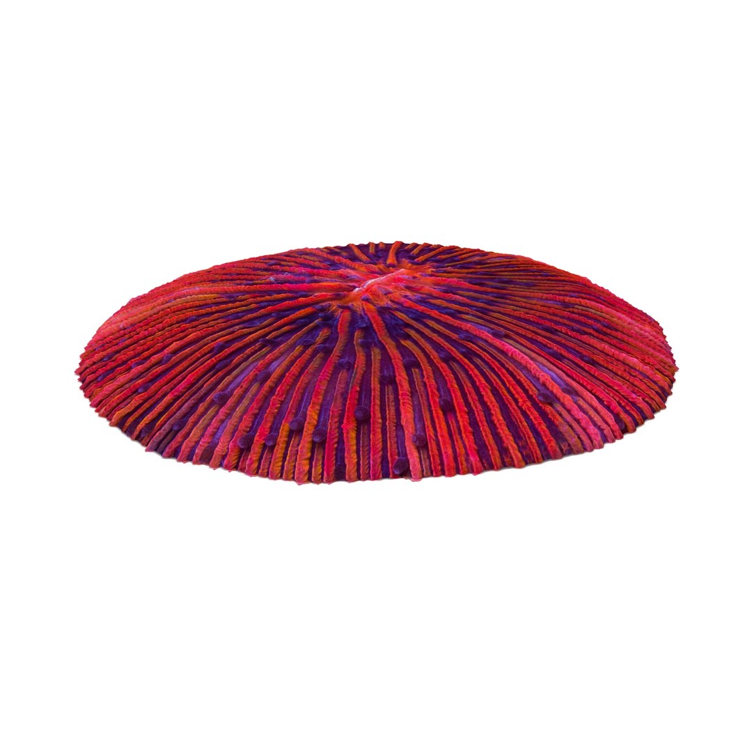 3d Fungia Plate Coral Model
