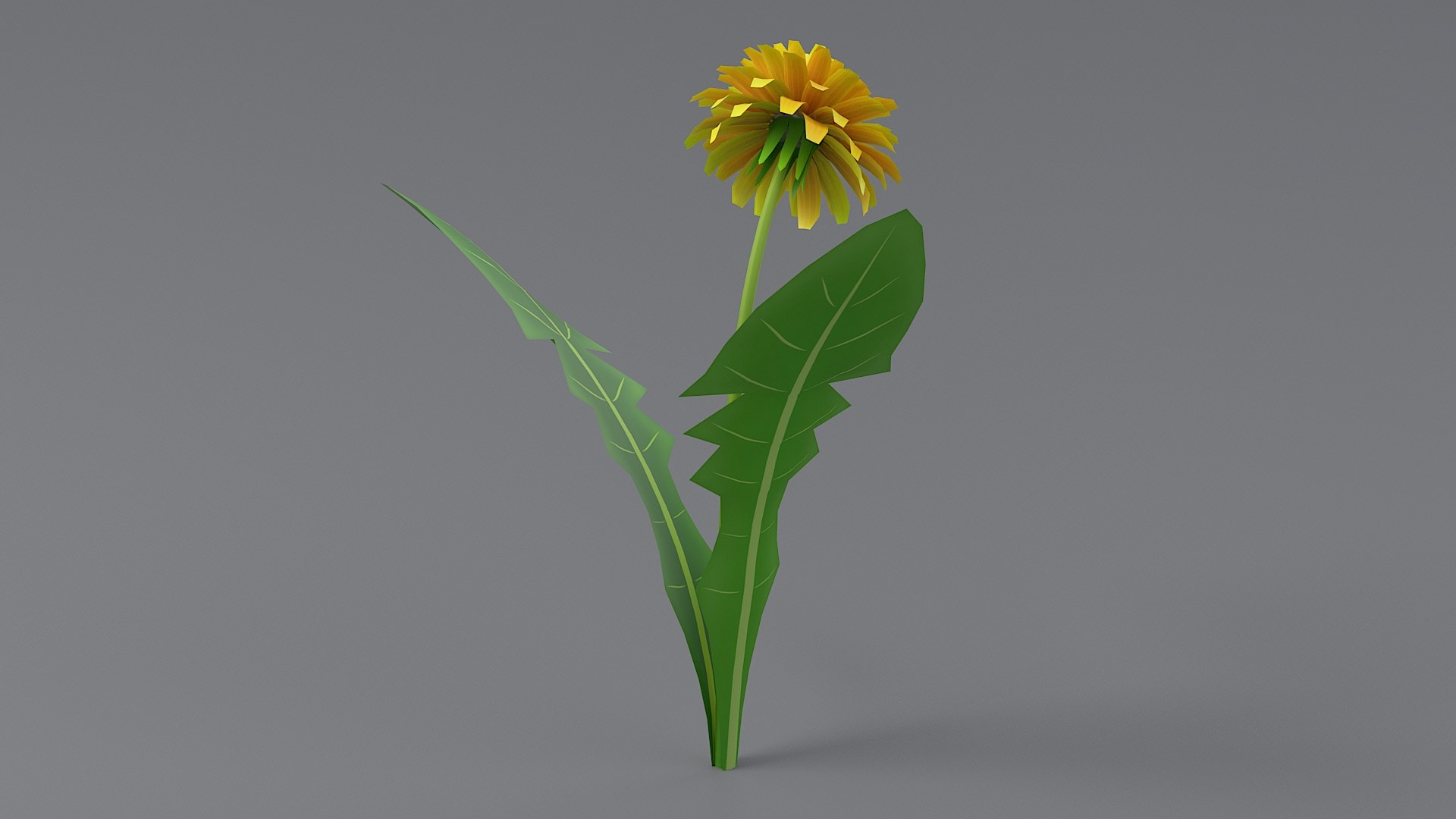 Cartoon Dandelion 03 3D - TurboSquid 2048034