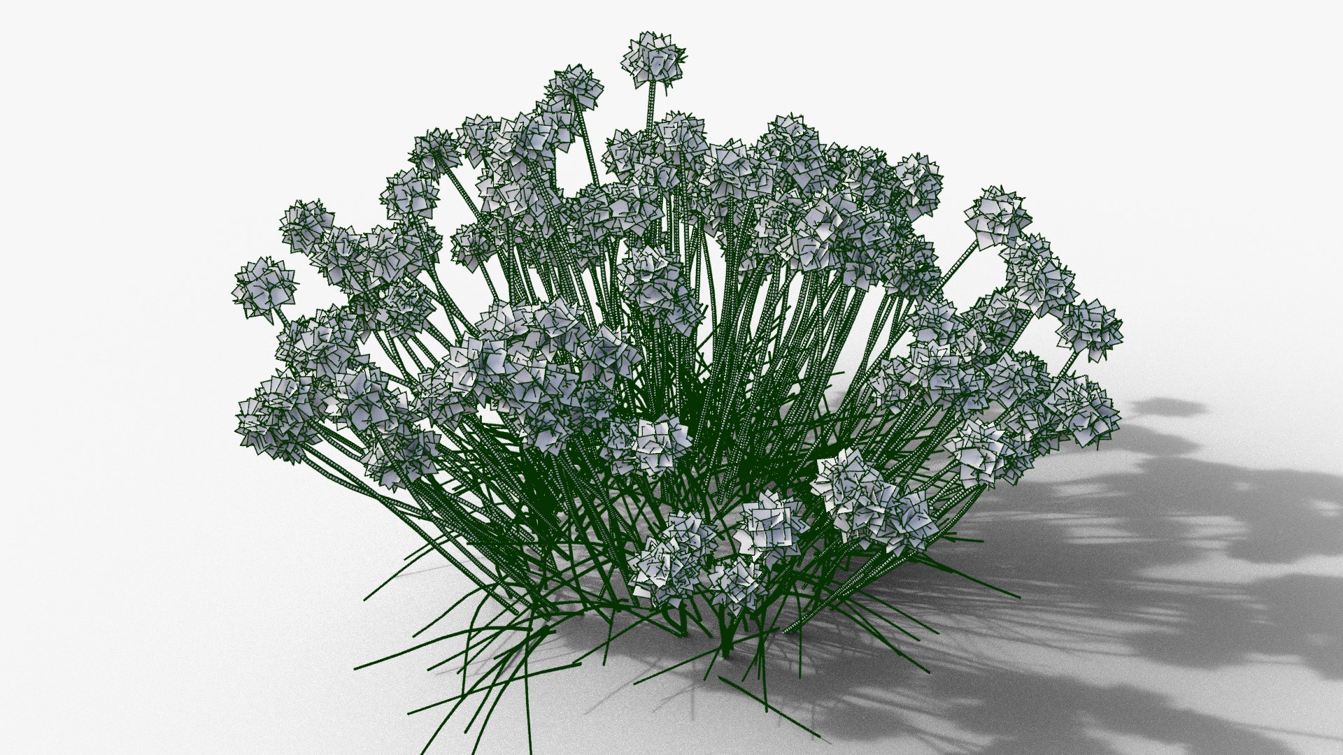 Allium Schoenoprasum Forescate 3D - TurboSquid 2081464