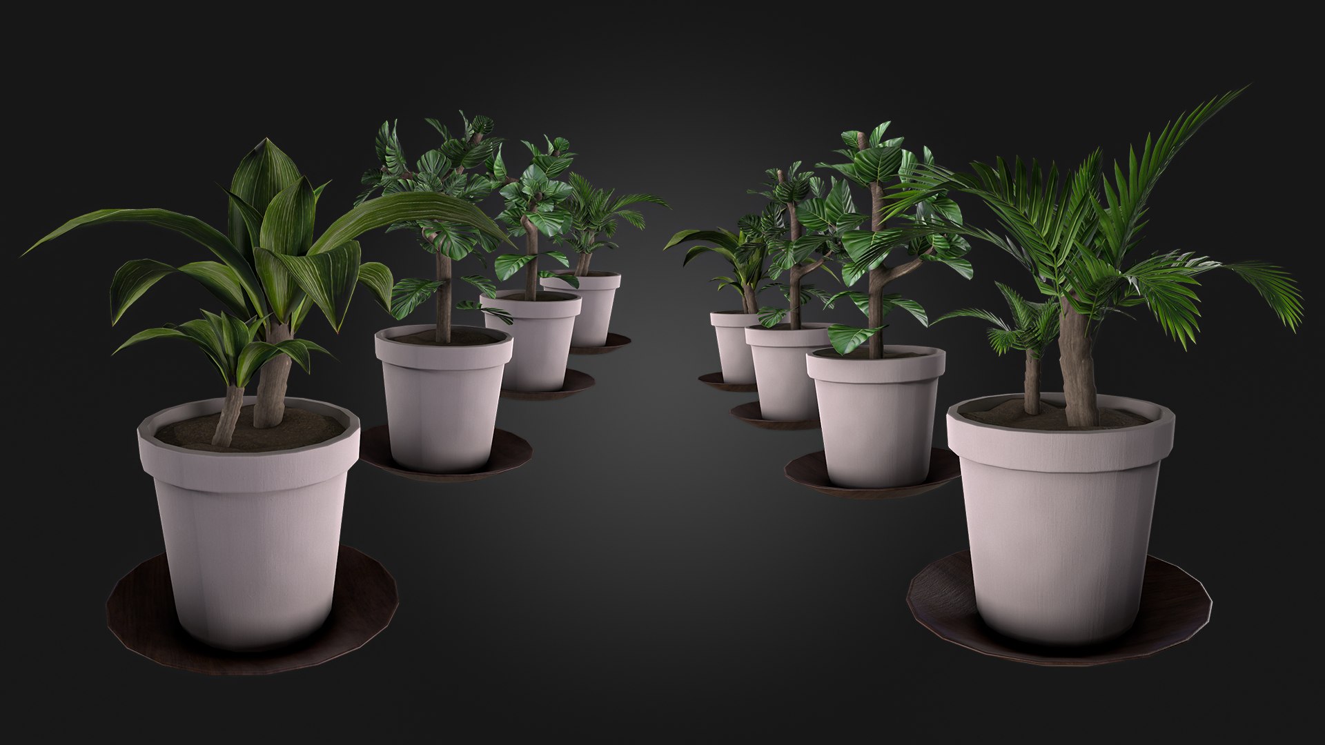 Small Plant 3D - TurboSquid 2146704