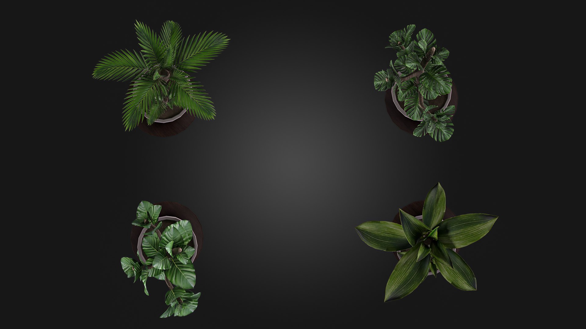 Small Plant 3D - TurboSquid 2146704