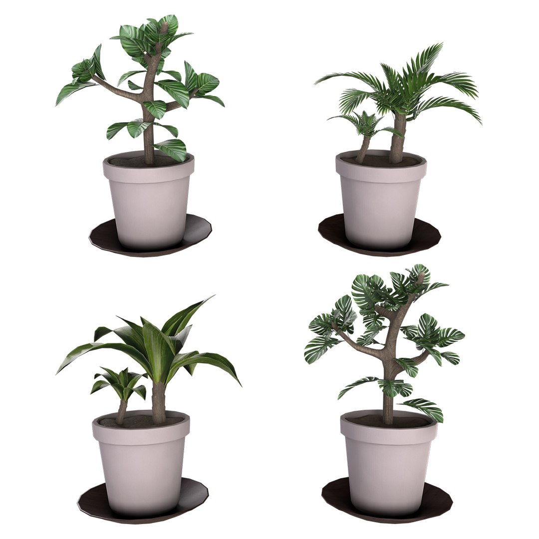 Small Plant 3D - TurboSquid 2146704