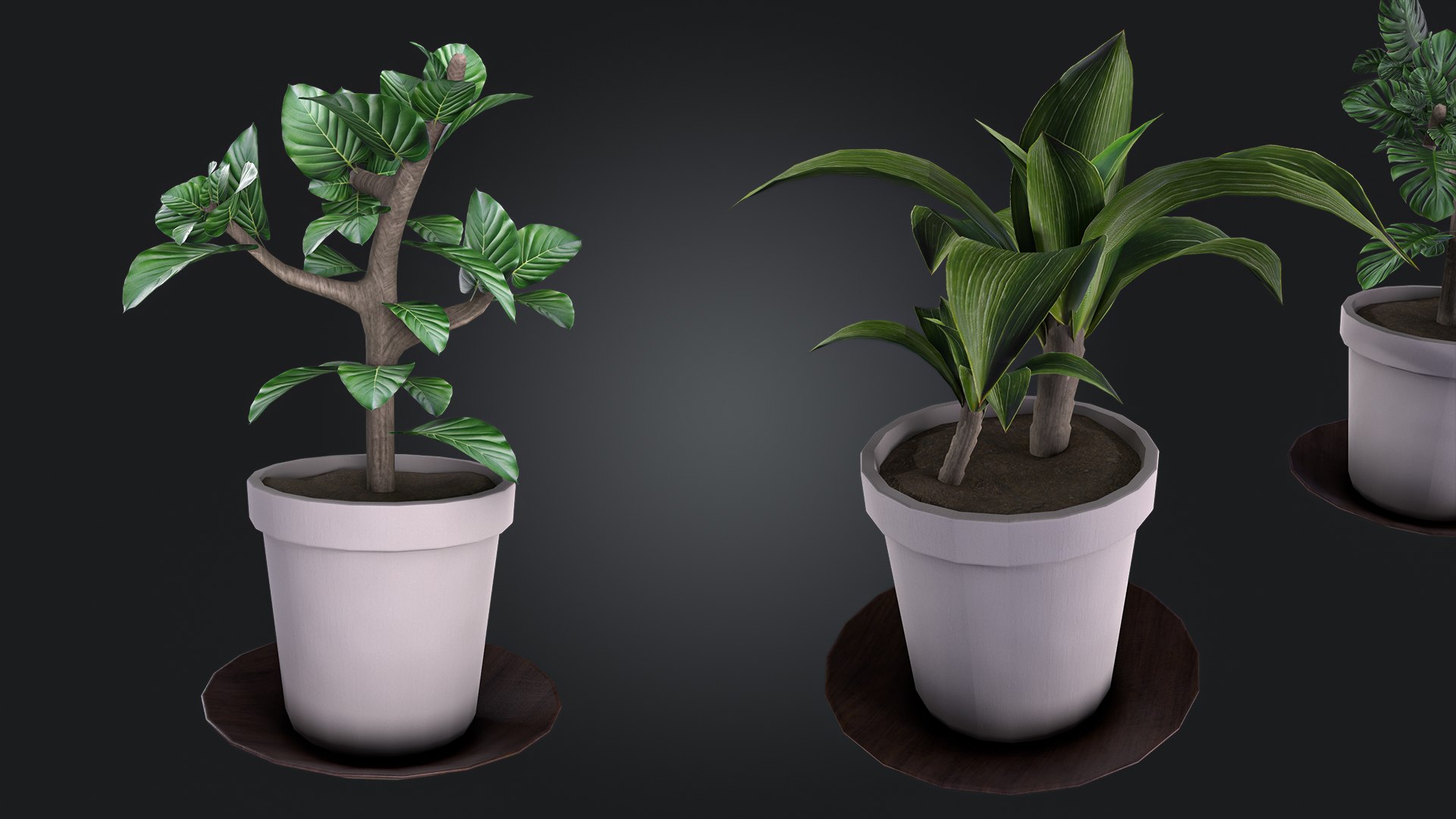 Small Plant 3D - TurboSquid 2146704