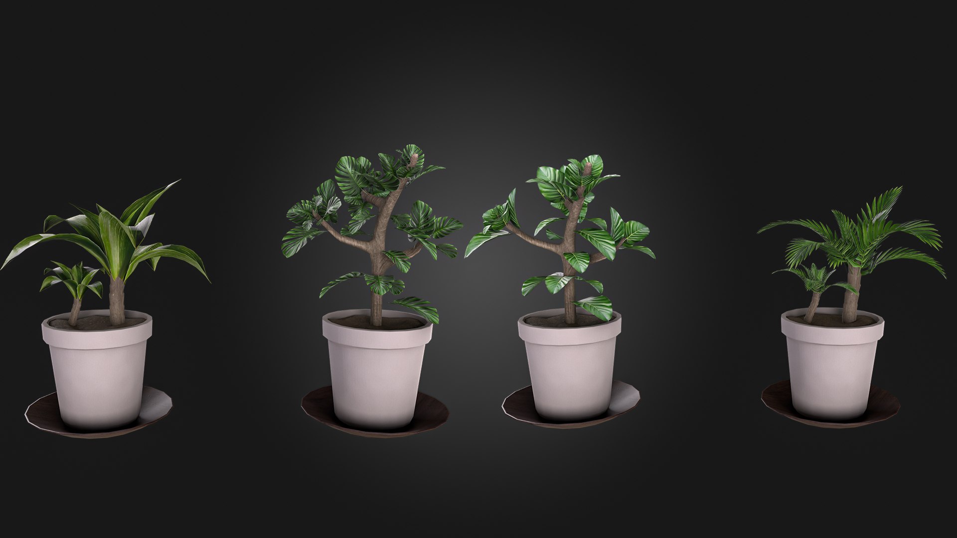 Small Plant 3D - TurboSquid 2146704