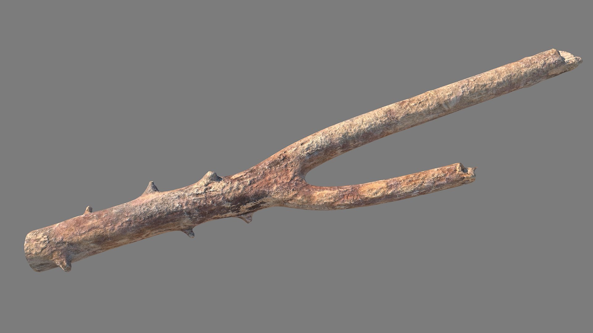 3D Model Twig Scanned 32 - TurboSquid 2088234