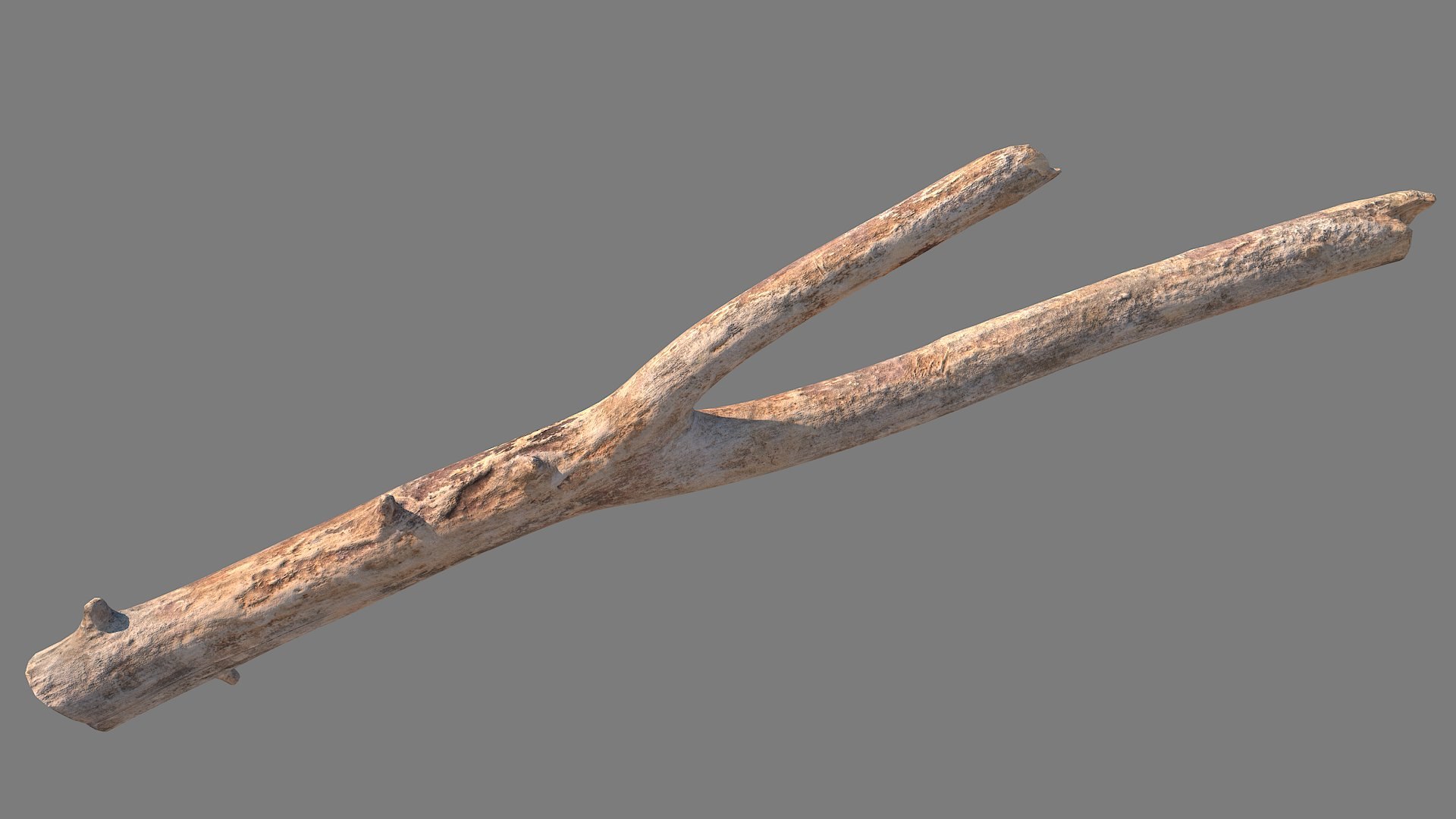 3D Model Twig Scanned 32 - TurboSquid 2088234
