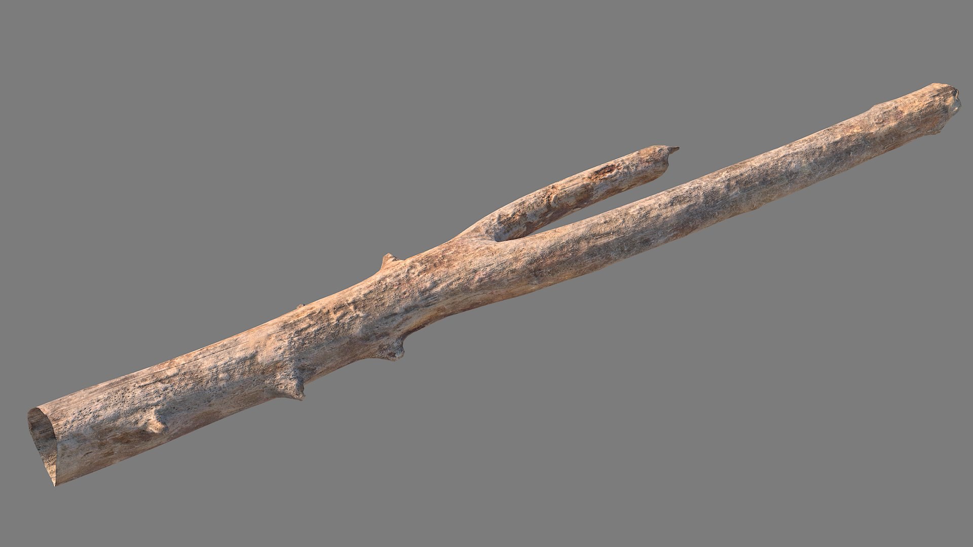 3D Model Twig Scanned 32 - TurboSquid 2088234