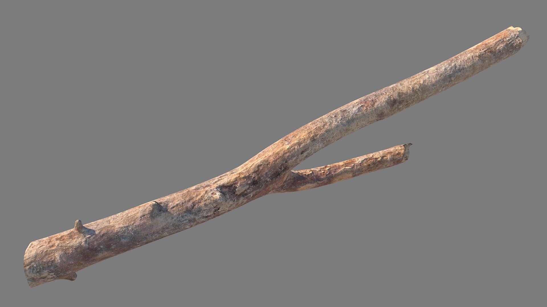 3D Model Twig Scanned 32 - TurboSquid 2088234