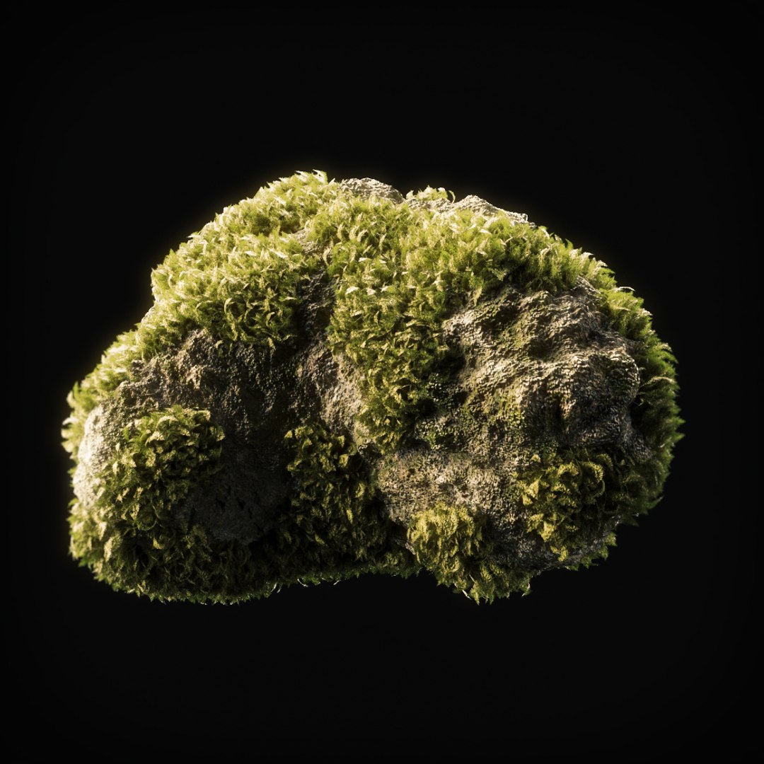 Moss 9 3D Model - TurboSquid 1535007