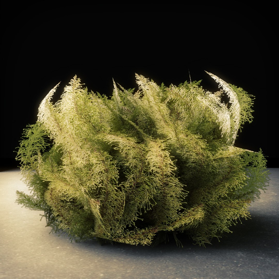 Moss 9 3D Model - TurboSquid 1535007