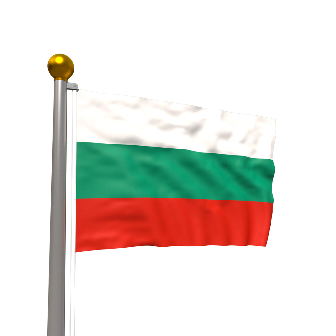 Realistic Waving Flag Model - TurboSquid 1464842