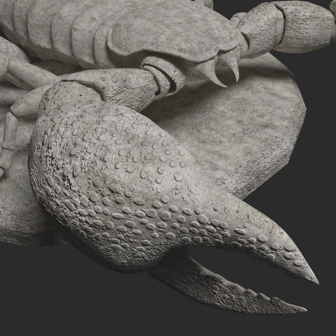 Scorpio Zodiac Statue 3D 3D - TurboSquid 1909333