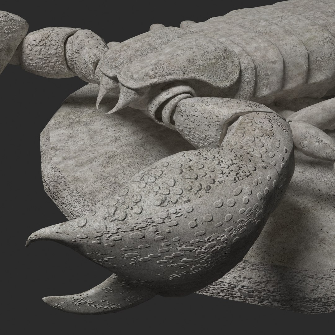 Scorpio Zodiac Statue 3D 3D - TurboSquid 1909333