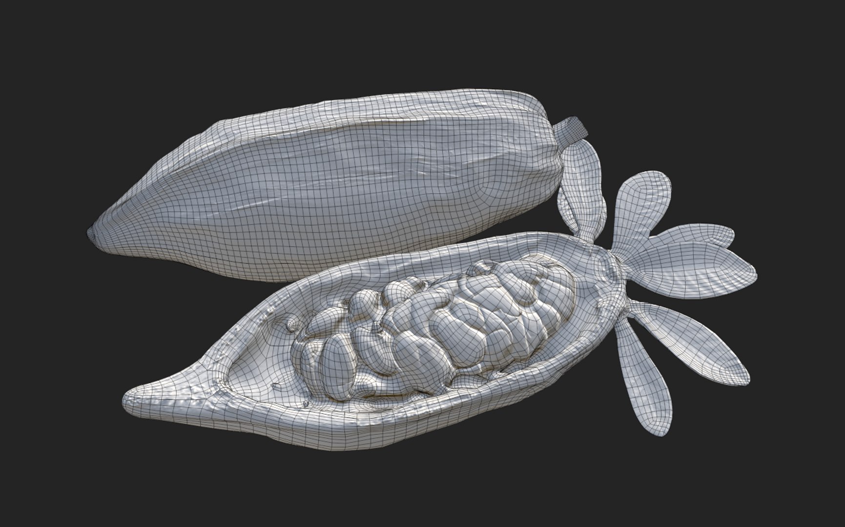 Cocoa Fruits Beans Set Low-poly 3D Model - TurboSquid 2381878