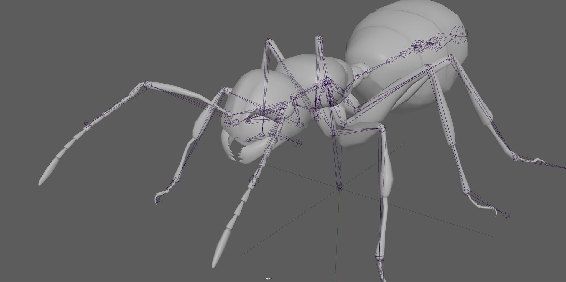 3D Black Ant Rigged - TurboSquid 1895841