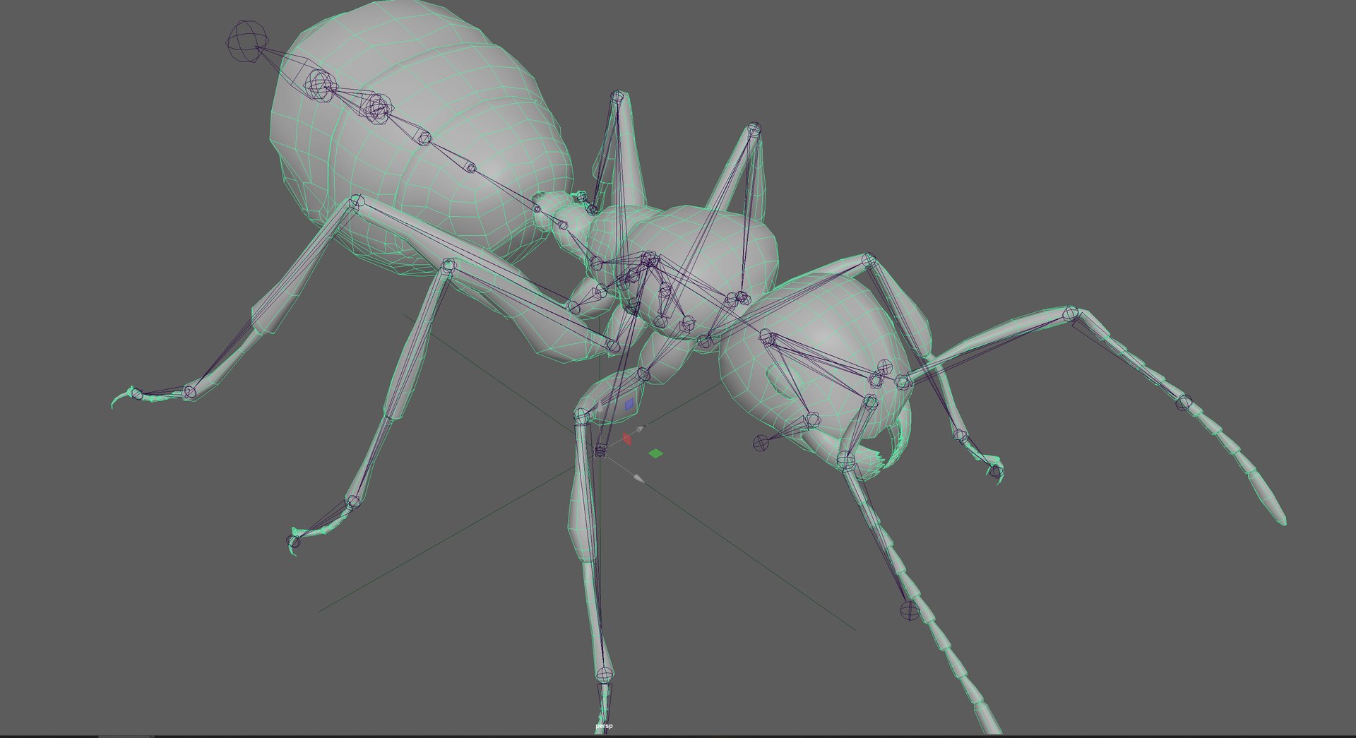 3D Black Ant Rigged - TurboSquid 1895841