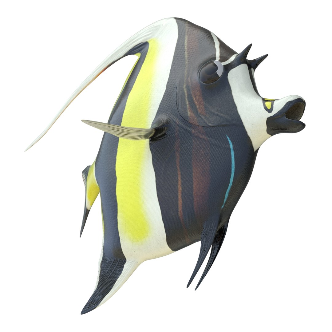 moorish idol fish pose 3d c4d