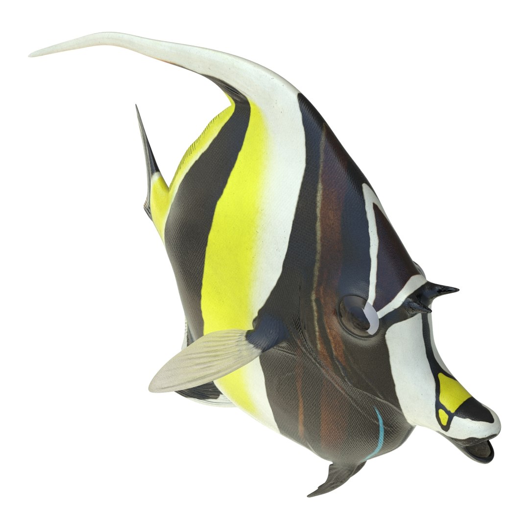 moorish idol fish pose 3d c4d