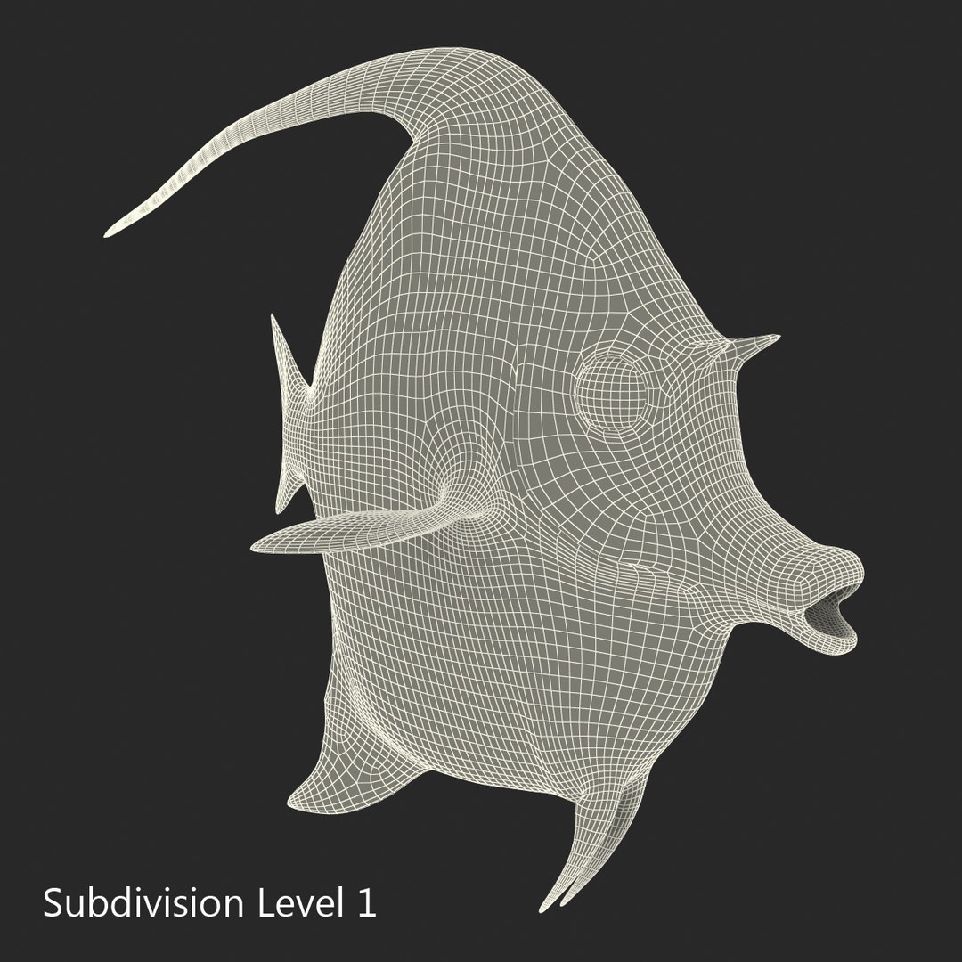 moorish idol fish pose 3d c4d