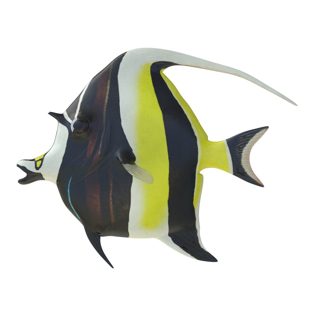 moorish idol fish pose 3d c4d