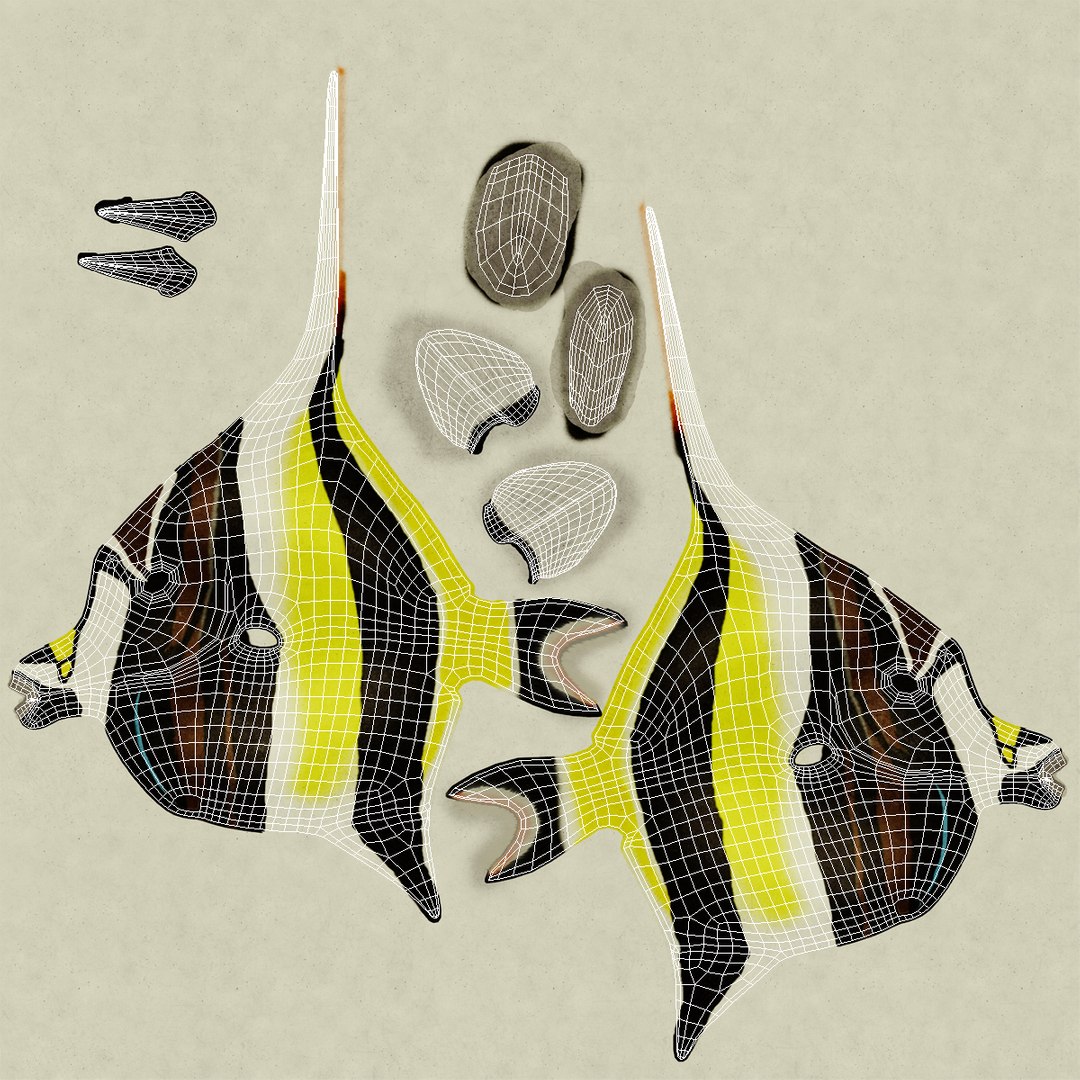 moorish idol fish pose 3d c4d