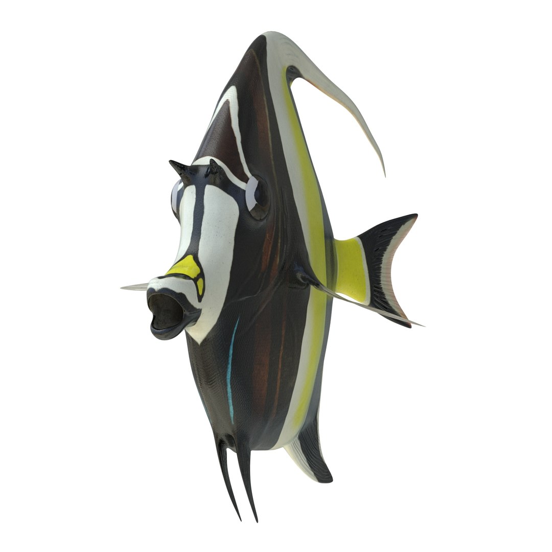 moorish idol fish pose 3d c4d