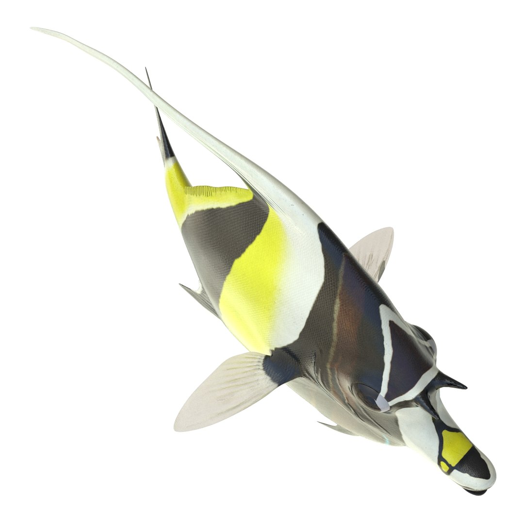 moorish idol fish pose 3d c4d