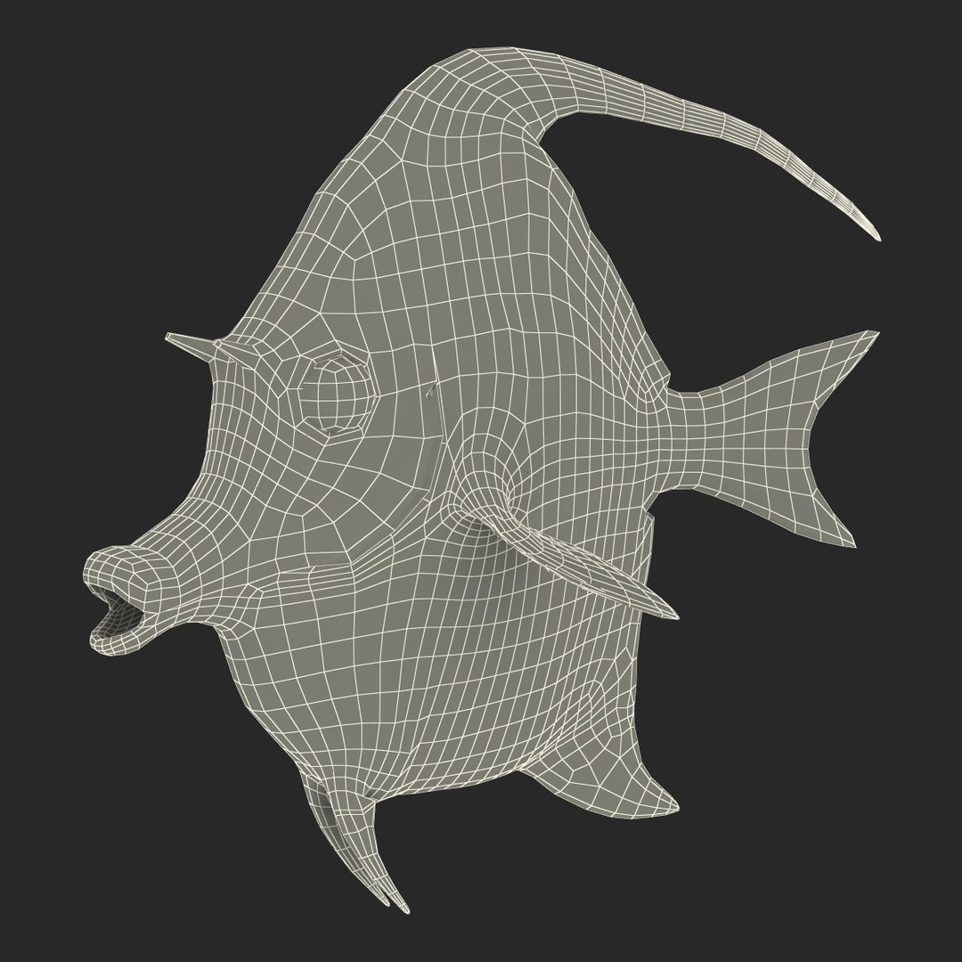 moorish idol fish pose 3d c4d