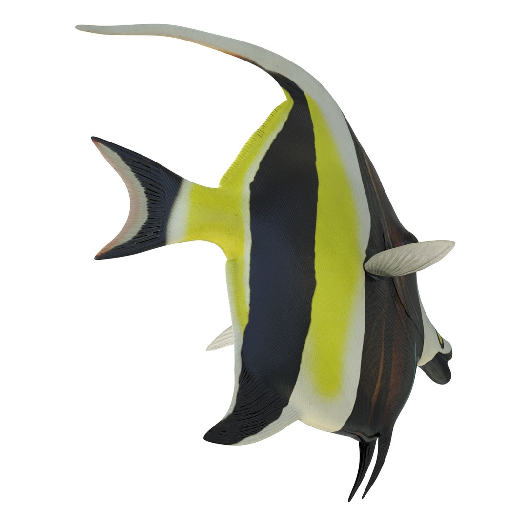 moorish idol fish pose 3d c4d