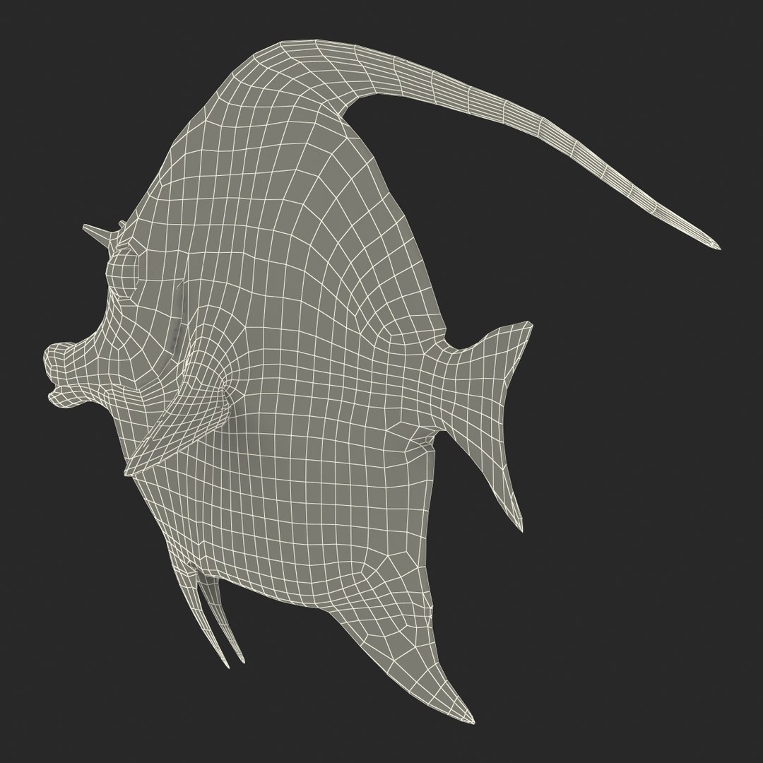 moorish idol fish pose 3d c4d