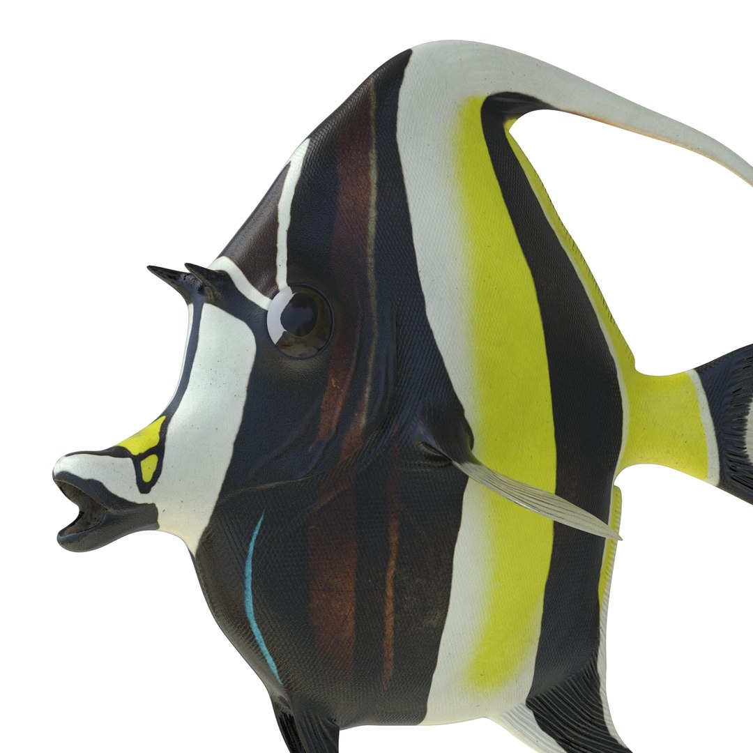moorish idol fish pose 3d c4d