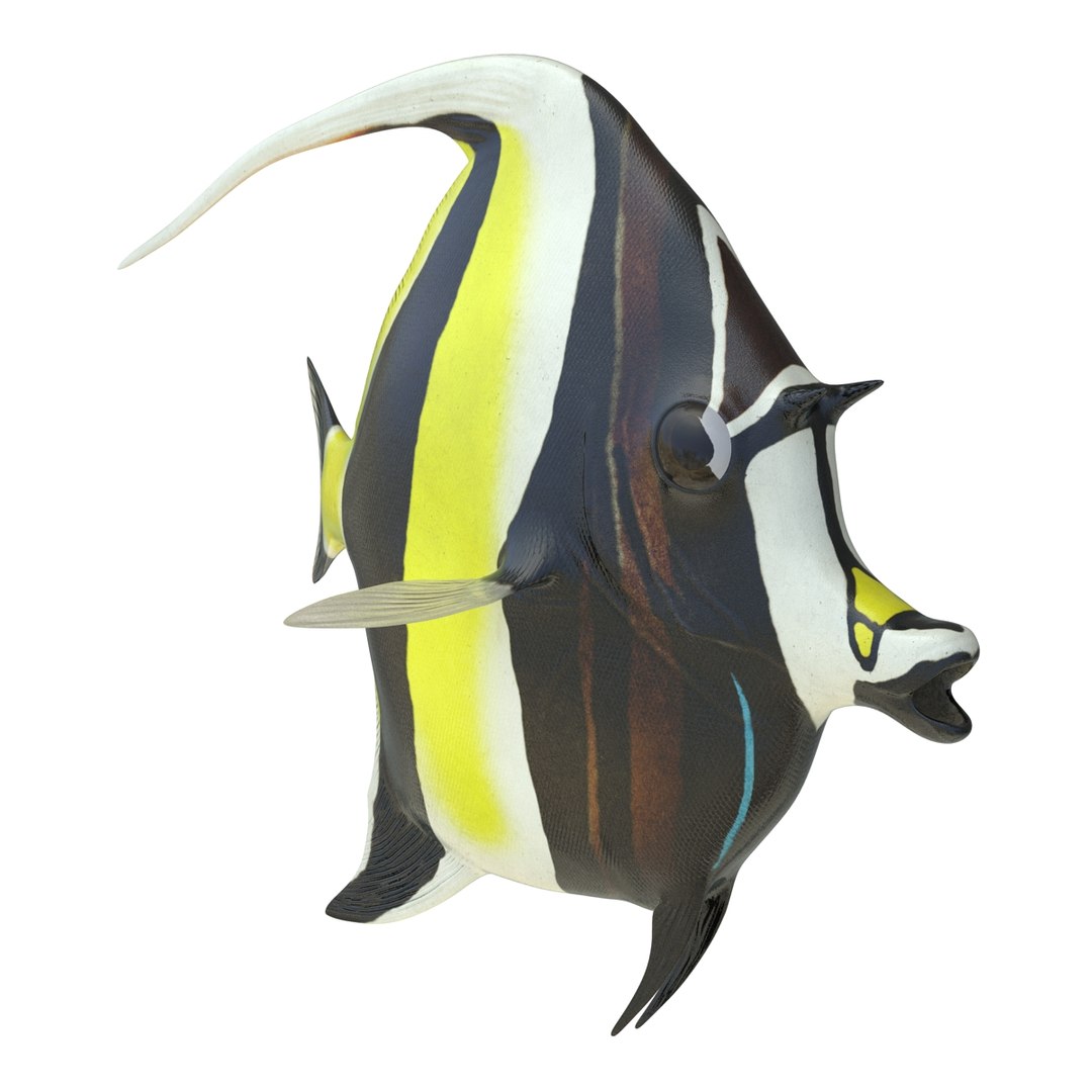 moorish idol fish pose 3d c4d