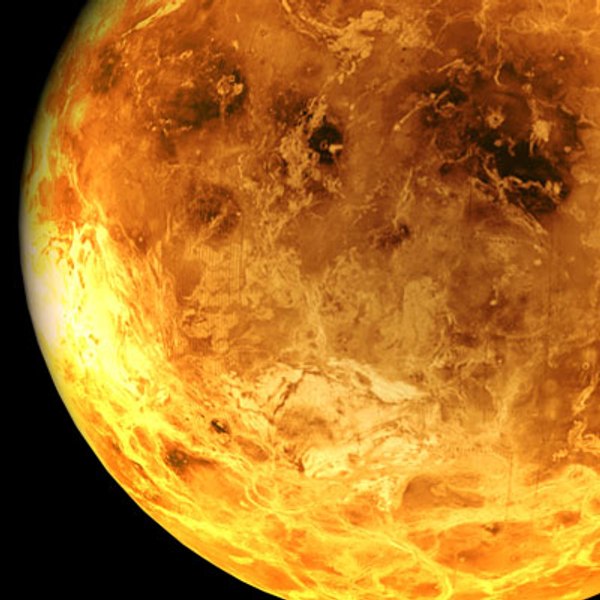 3d realistic venus model