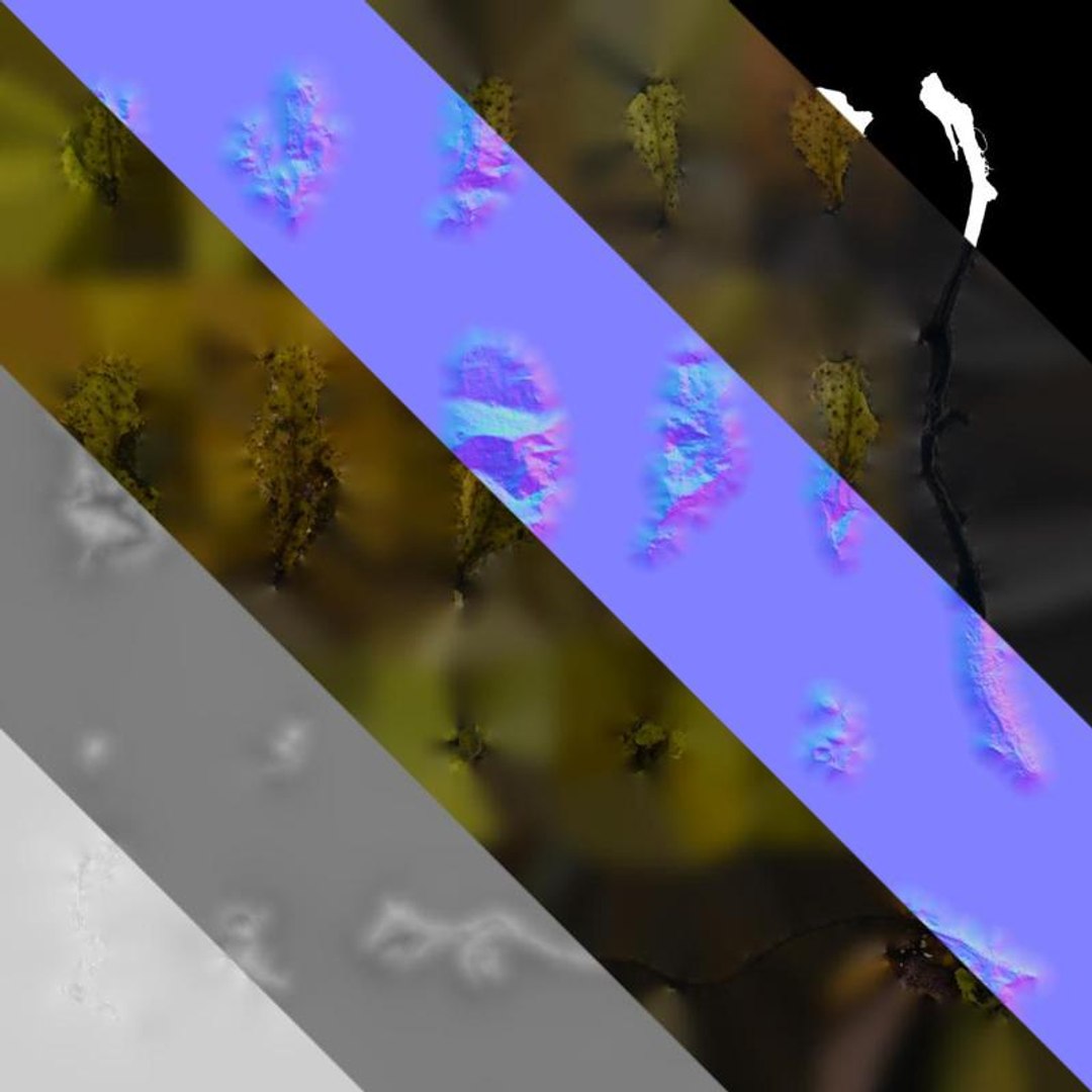 Anydrafts Sargassum Pallidum Split 02 Textures 3D - TurboSquid 2345257