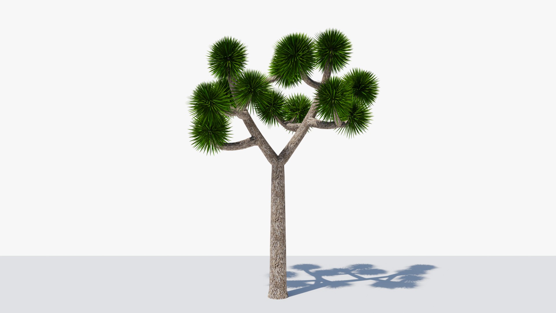 Joshua Tree Or Yucca Palm V7 Model - TurboSquid 2044839