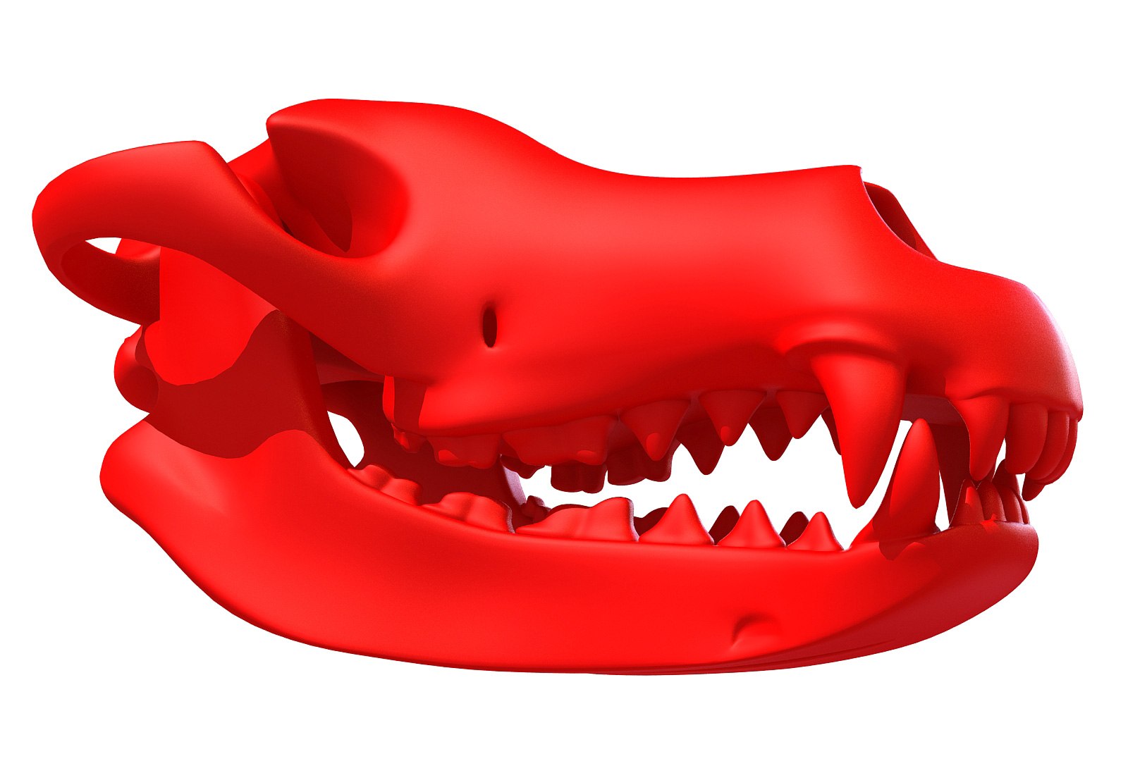 Print-ready Dog Skull Printing 3d Model