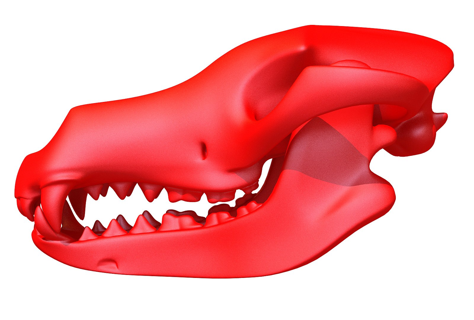 Print-ready Dog Skull Printing 3d Model