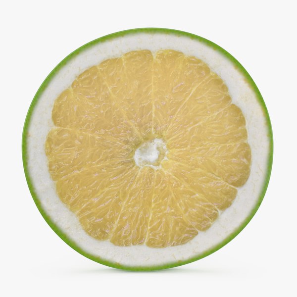 Round Green Grapefruit Slice 3D model - TurboSquid 1997344