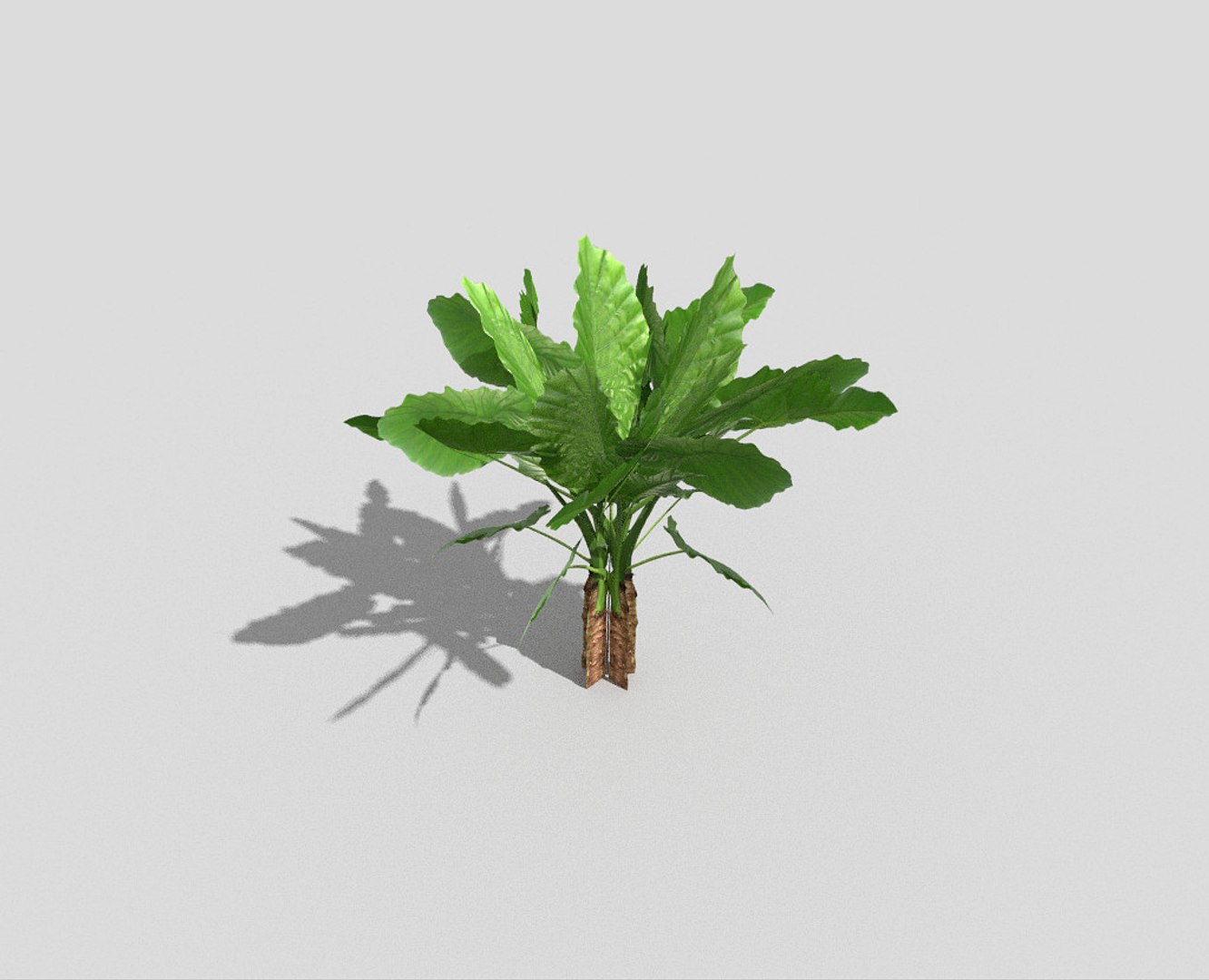 3d Plant