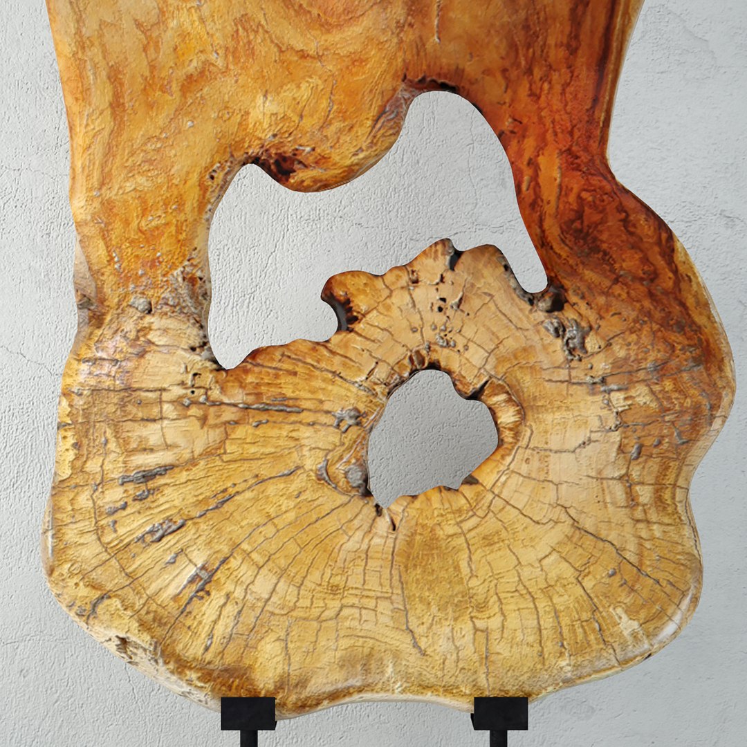 3D model Organic Burl Stump Decor - TurboSquid 2122201