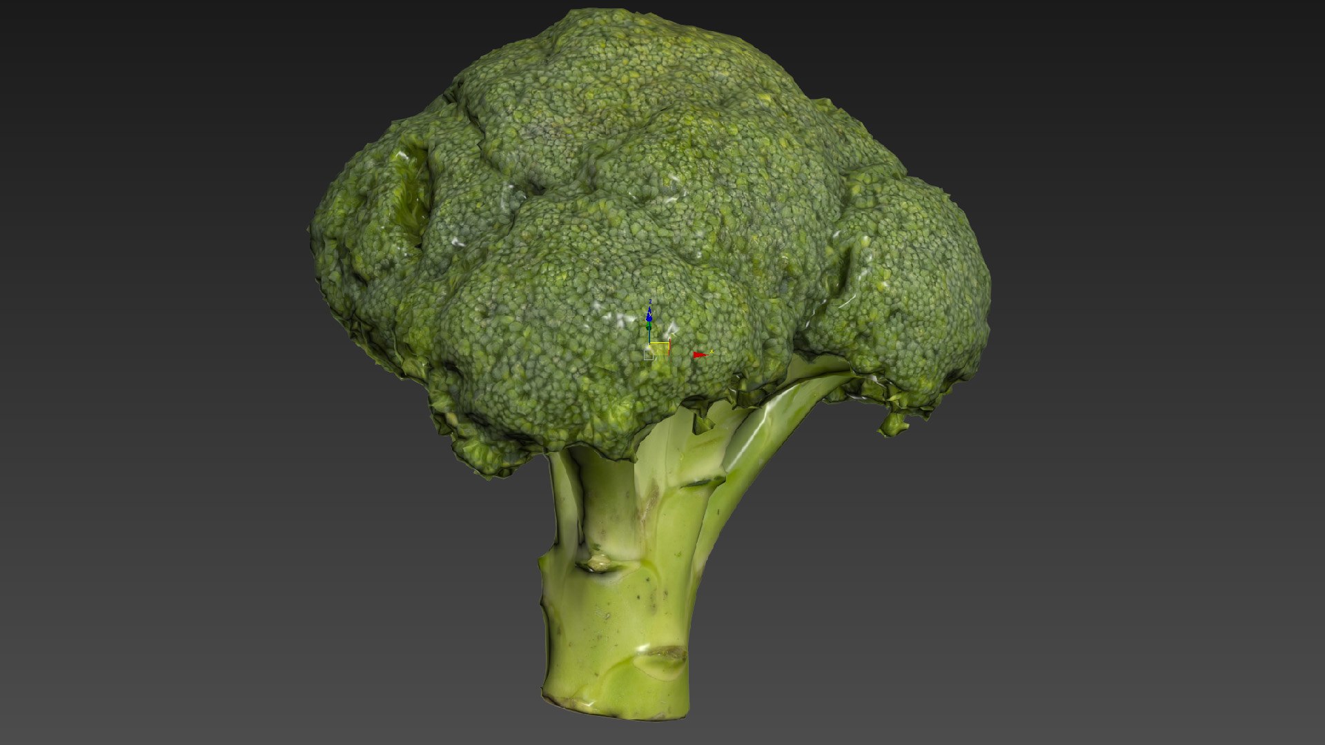 Broccoli Scanned 4k Model - TurboSquid 1859664