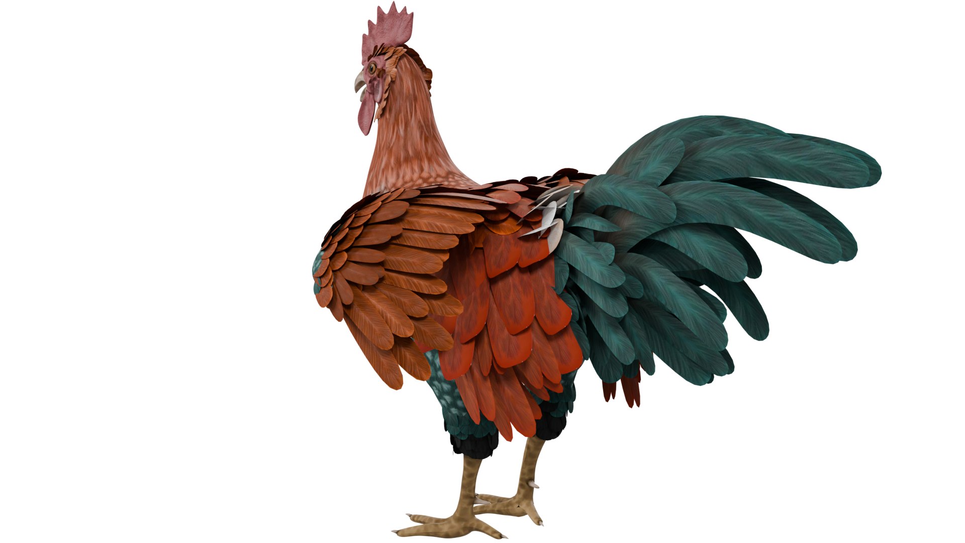 3D Chicken - TurboSquid 2387706