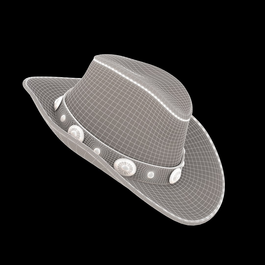 3d cowboy hat model