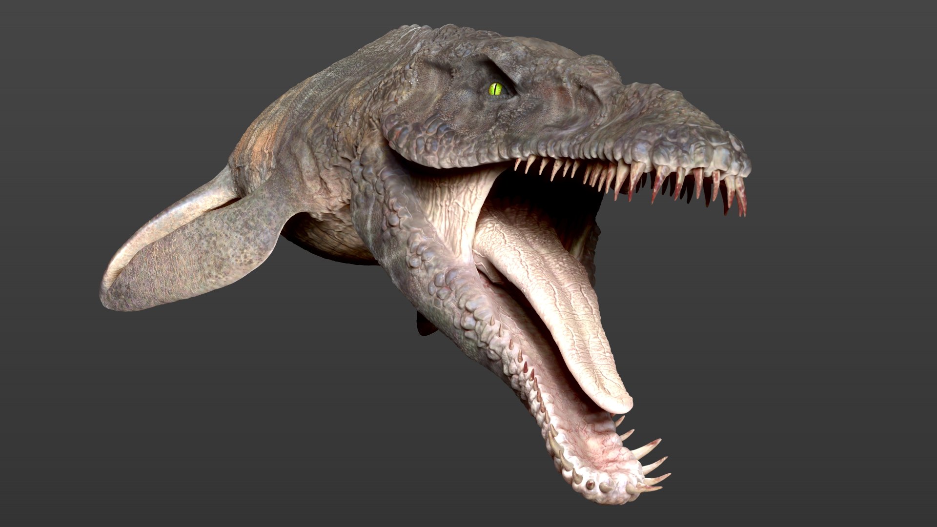 3D Model Predator X - Pliosaurus FunkeiFull - TurboSquid 1754497