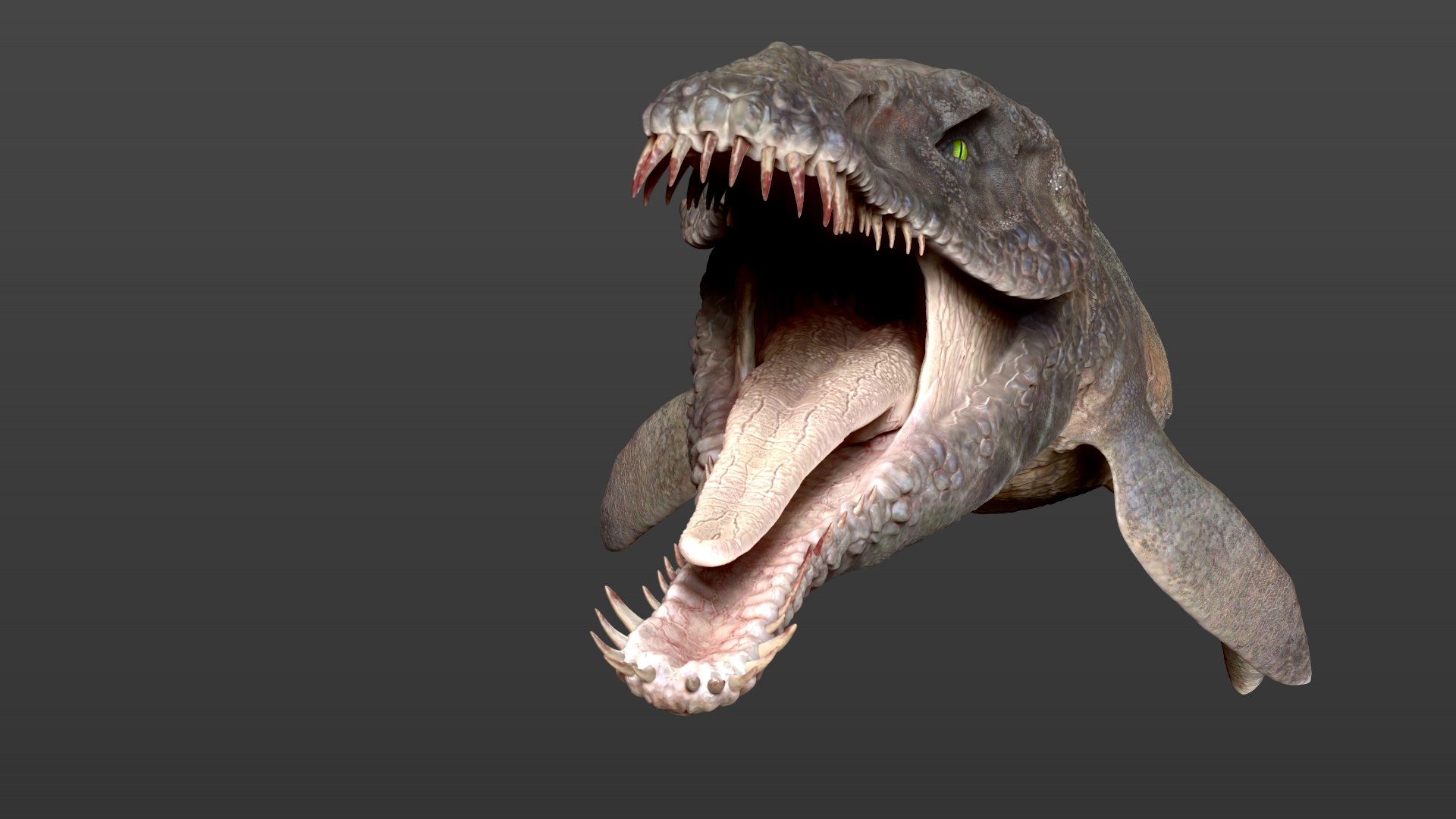 3D Model Predator X - Pliosaurus FunkeiFull - TurboSquid 1754497